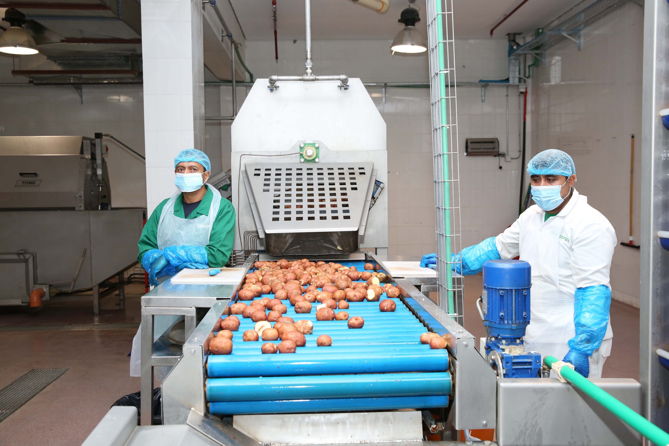 Hectare’s Crisp Factory - International Women’s Group