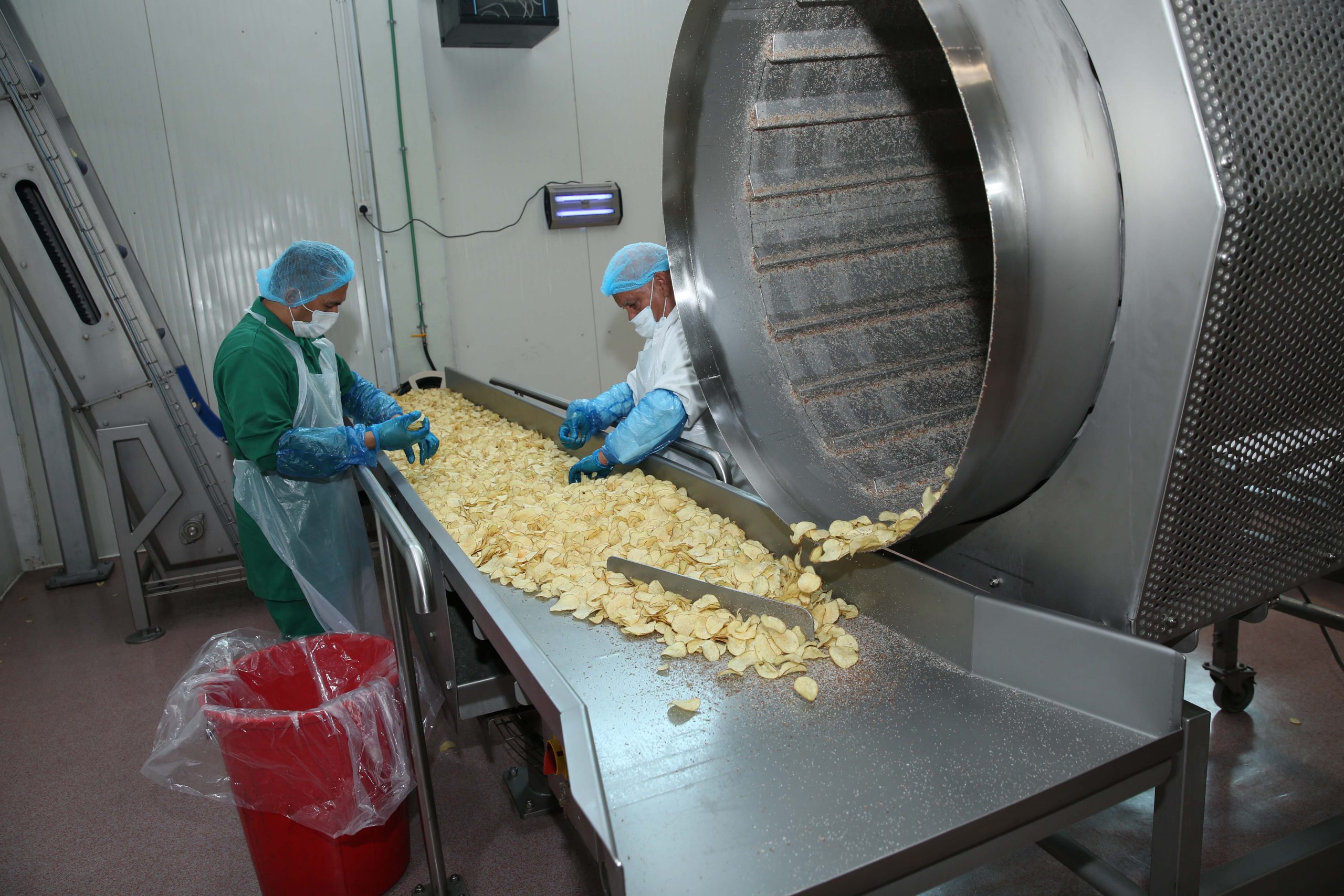 Hectare’s Crisp Factory - International Women’s Group